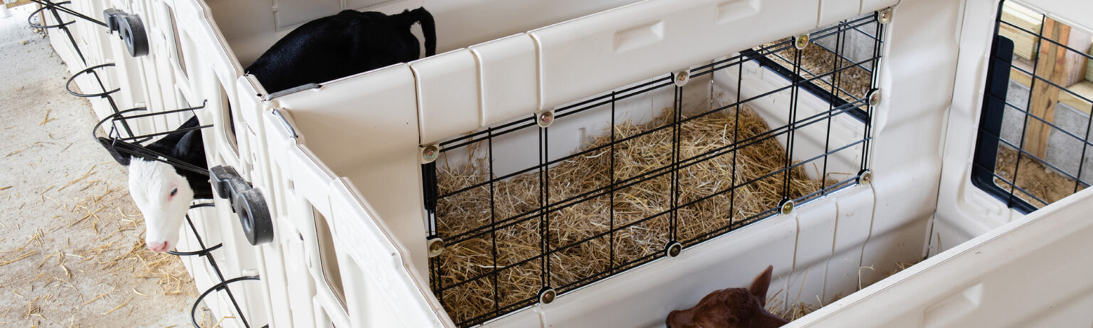 6' Indoor Calf Pen - Plastic | Calf-Tel