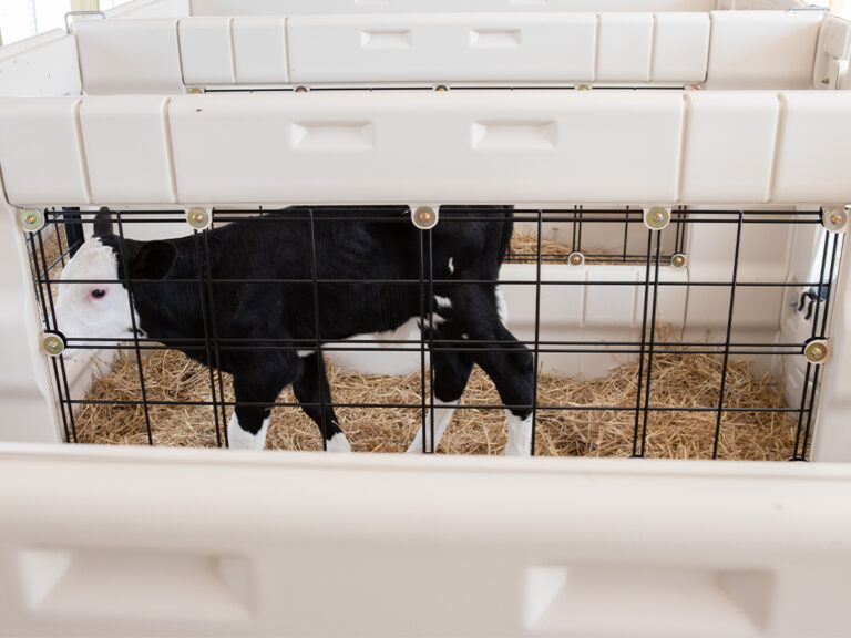 7' Indoor Calf Pen - Plastic | Calf-Tel