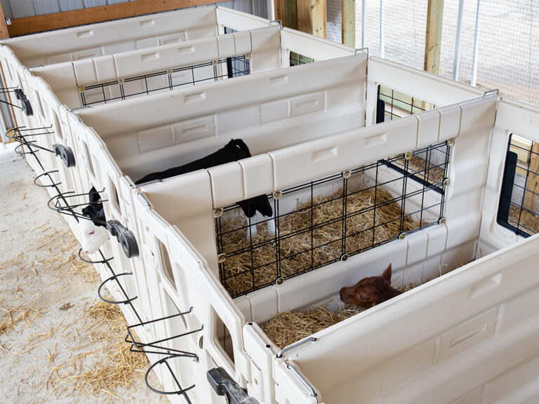 7' Indoor Calf Pen - Plastic | Calf-Tel