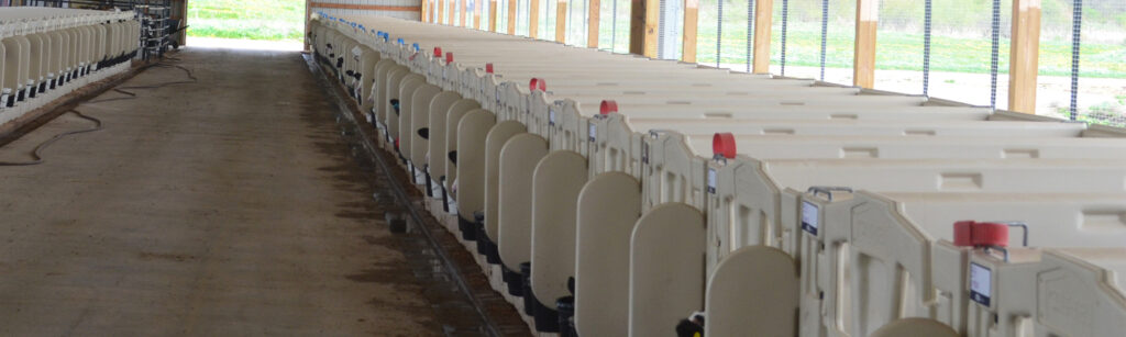 8' Indoor Calf Pen - Plastic | Calf-Tel