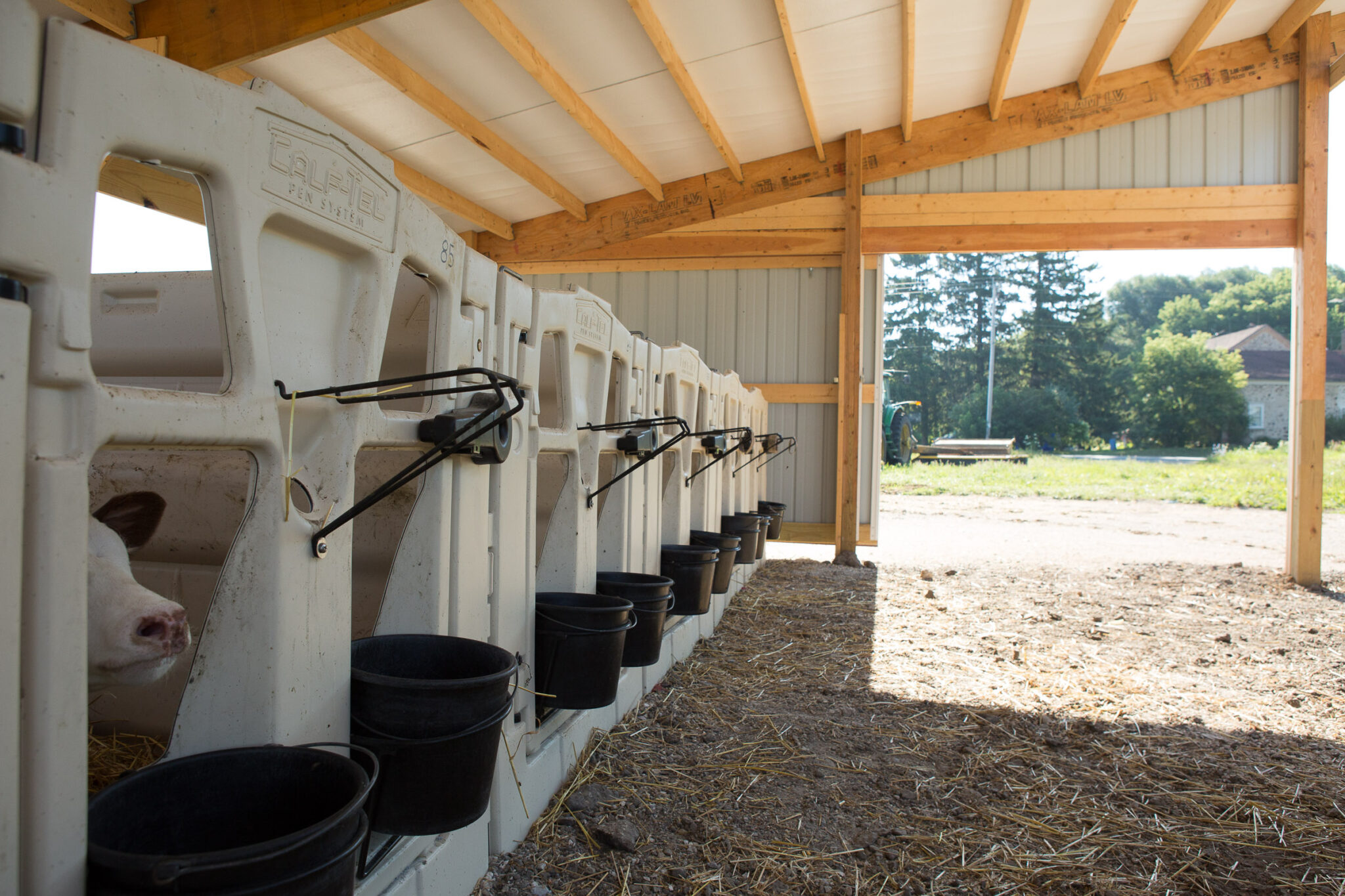 5' Indoor Calf Pen - Plastic | Calf-Tel