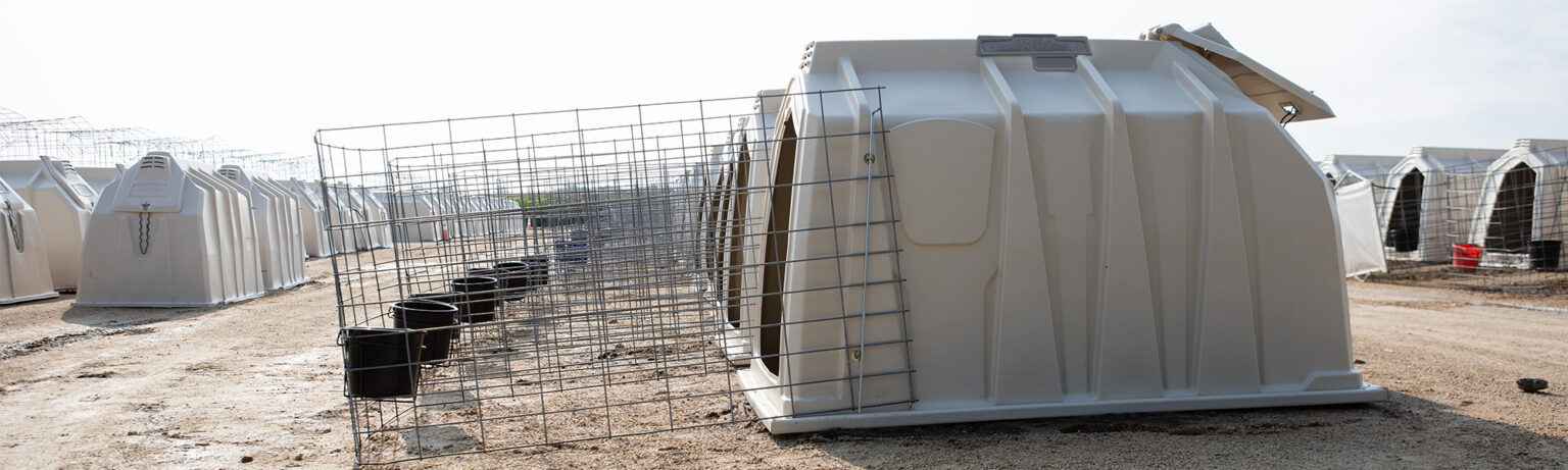 Standard Outdoor Calf Hutch - Plastic | Calf-Tel