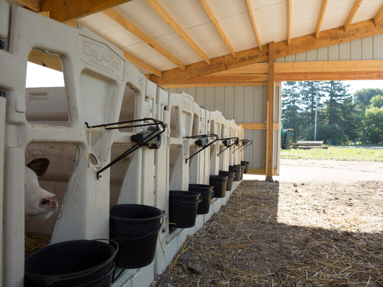 8' Indoor Calf Pen - Plastic | Calf-Tel
