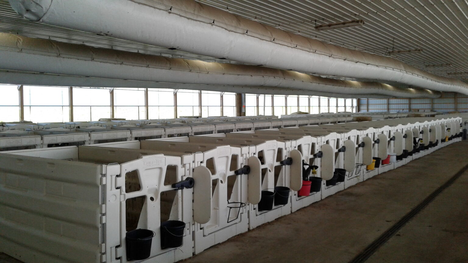 5' Indoor Calf Pen - Plastic | Calf-Tel