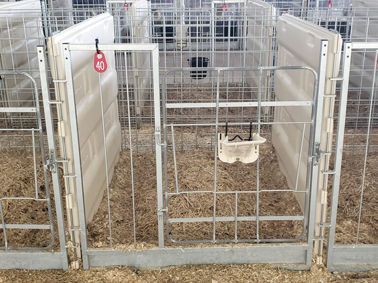 Indoor Calf housing System, Standard Breezeway | Calf-Tel