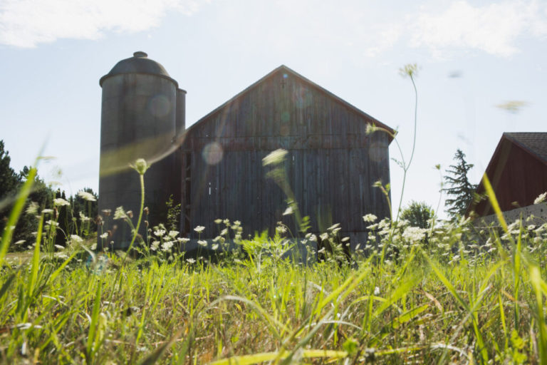 Outdoor Calf Hutches | Calf-Tel