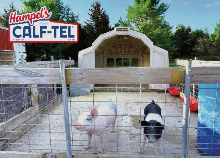 Plastic Calf Housing, Indoor Calf Pens, Outdoor Calf Hutches