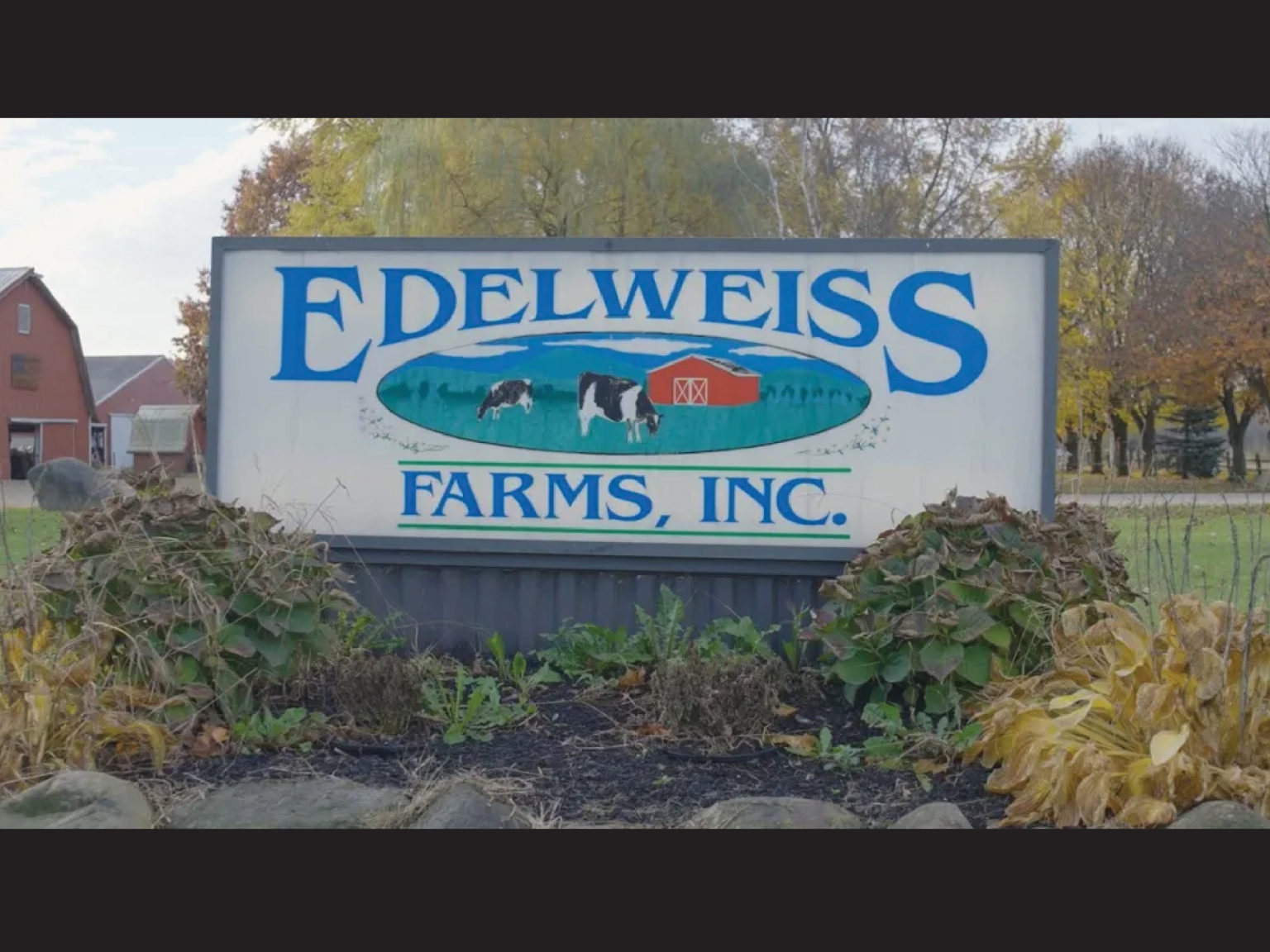 Plastic Calf Housing, Indoor Calf Pens, Outdoor Calf Hutches